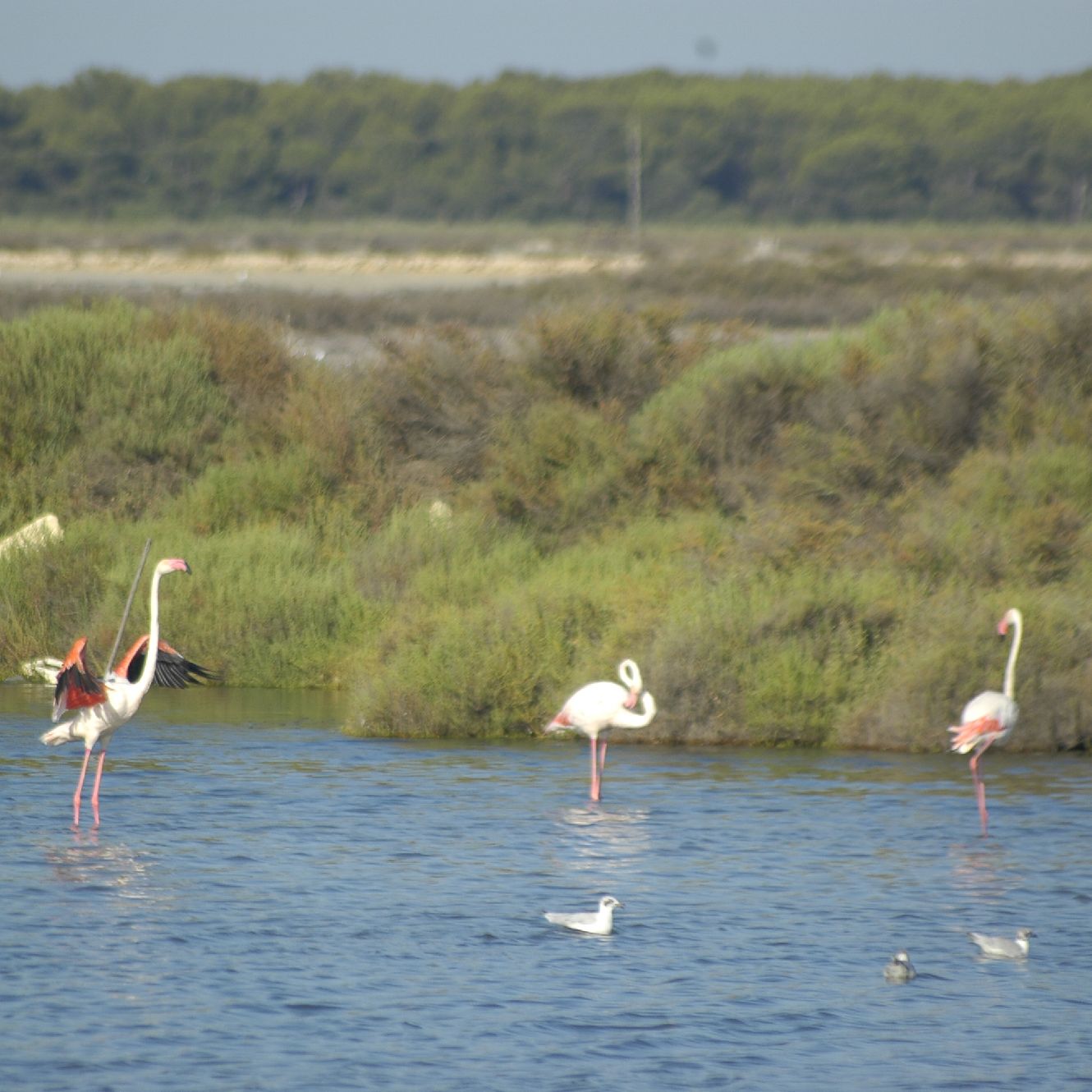 The 20 best boutique hotels in Camargue – BoutiqueHotel.me